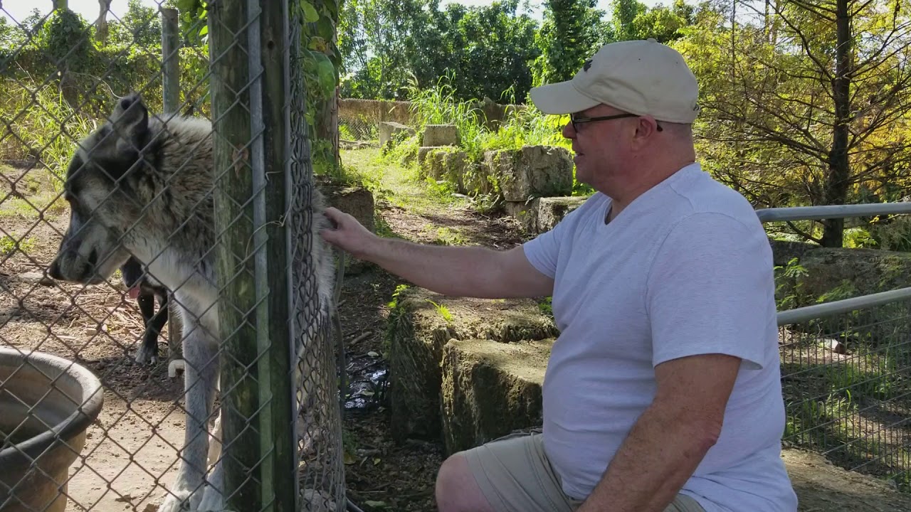 Everglades Outpost Wildlife Refuge - YouTube