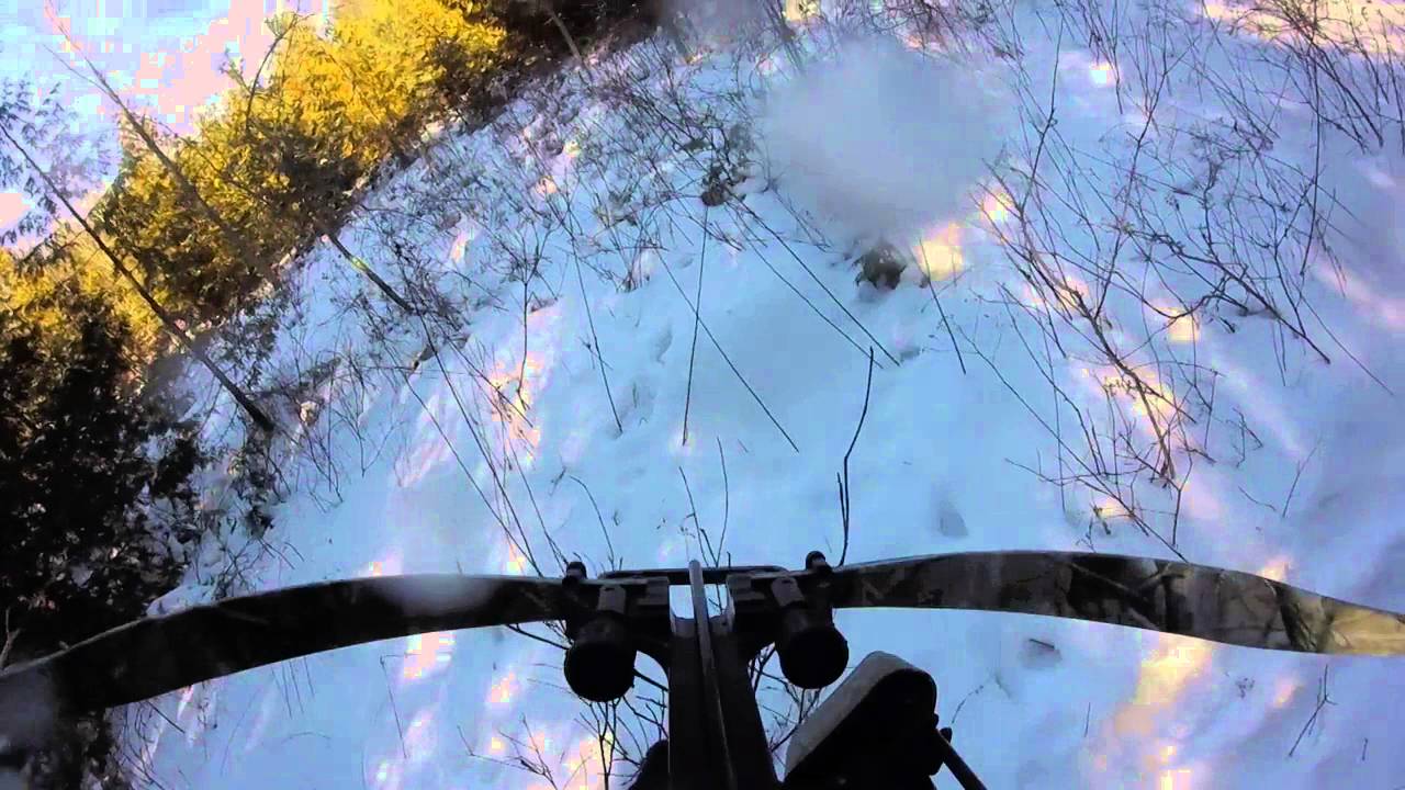 Ontario crossbow rabbit hunt Jan. 2016 - YouTube