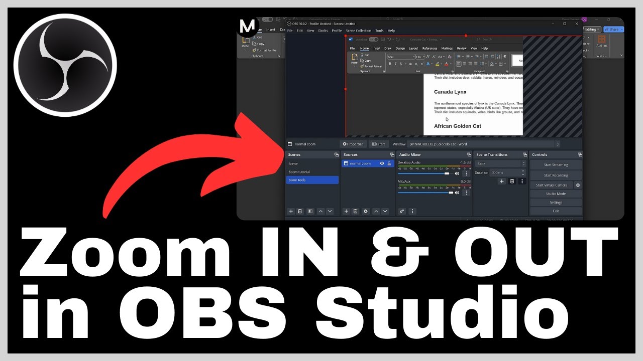 How to Zoom In & Out in OBS Studio - YouTube