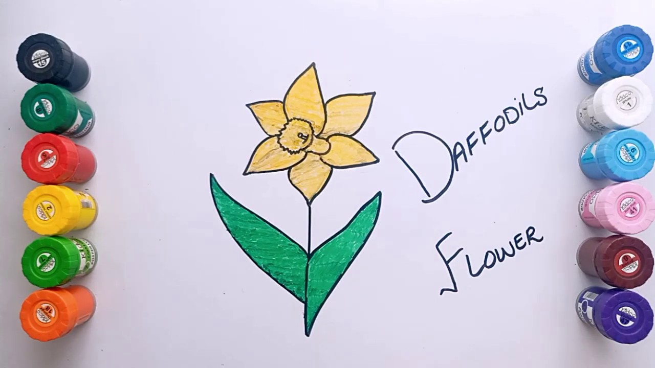 How to Draw a Daffodils Step by Step |Easiest Way of Drawing |Easy ...