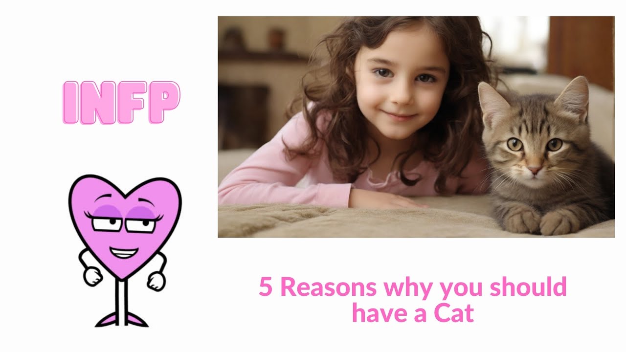 Feline Friends for INFPs: 5 Reasons Cats are Ideal Companions! - YouTube