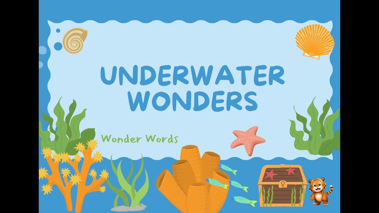 Underwater Wonders Animals Song - Extended version - YouTube Music