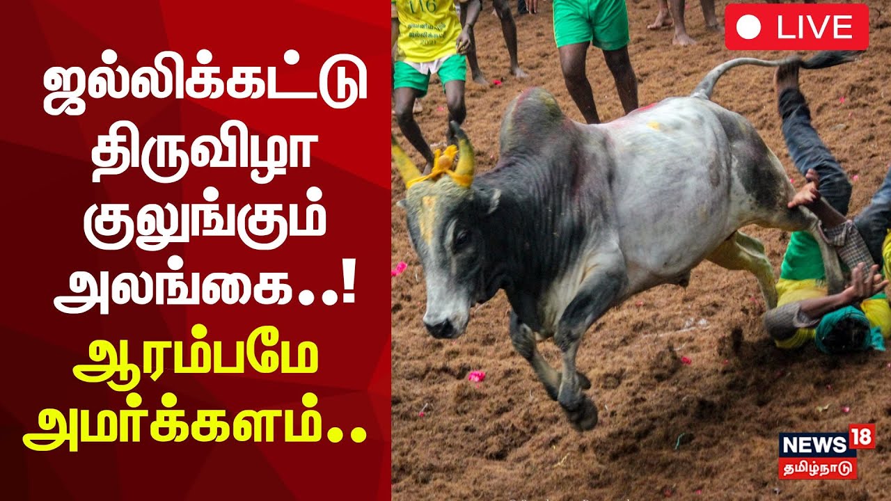 🔴LIVE: Alanganallur Jallikattu | Madurai Jallikattu | ஜல்லிக்கட்டு ...