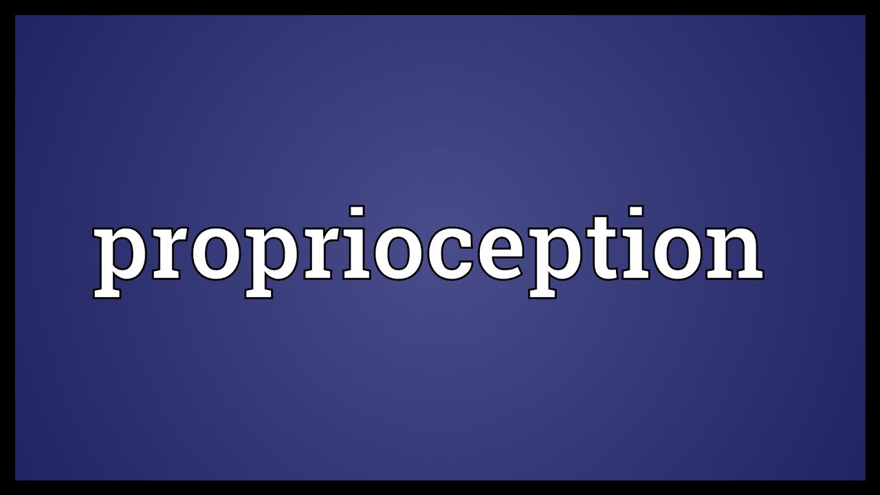 Proprioception Meaning - YouTube