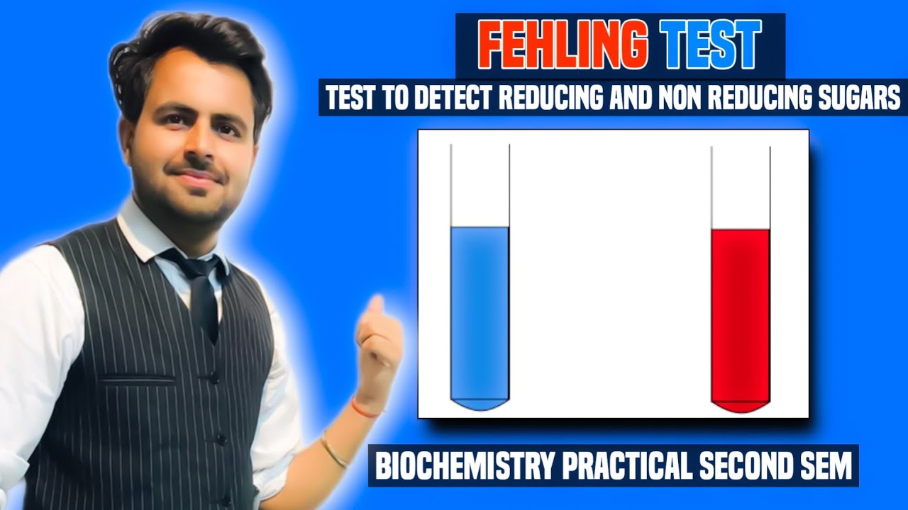 Fehling test for carbohydrates | Fehling solution A and B | test for ...