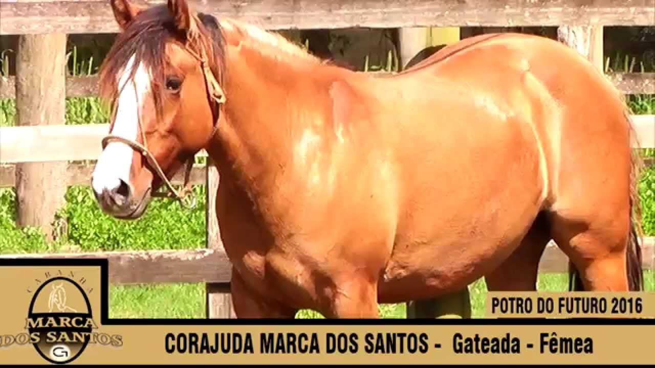 CORAJUDA MARCA DOS SANTOS - YouTube