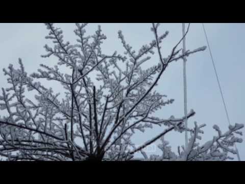 orxan.qabal son etin be qardaşim bizi