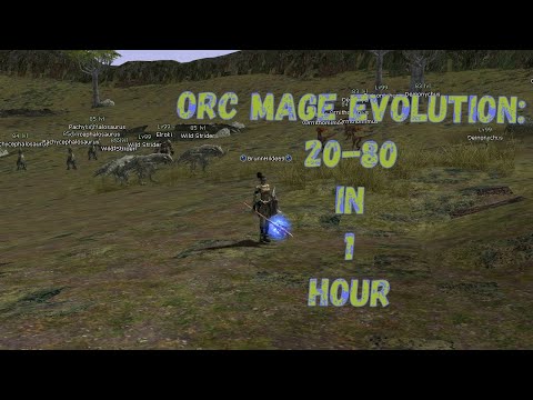 Lineage 2 Orc Mage Evolution: 20-80 in 1 Hour - YouTube