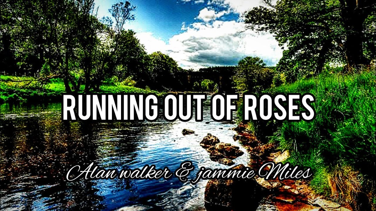 Running out of roses-Alan walker & jamie Miller||Running out of roses ...