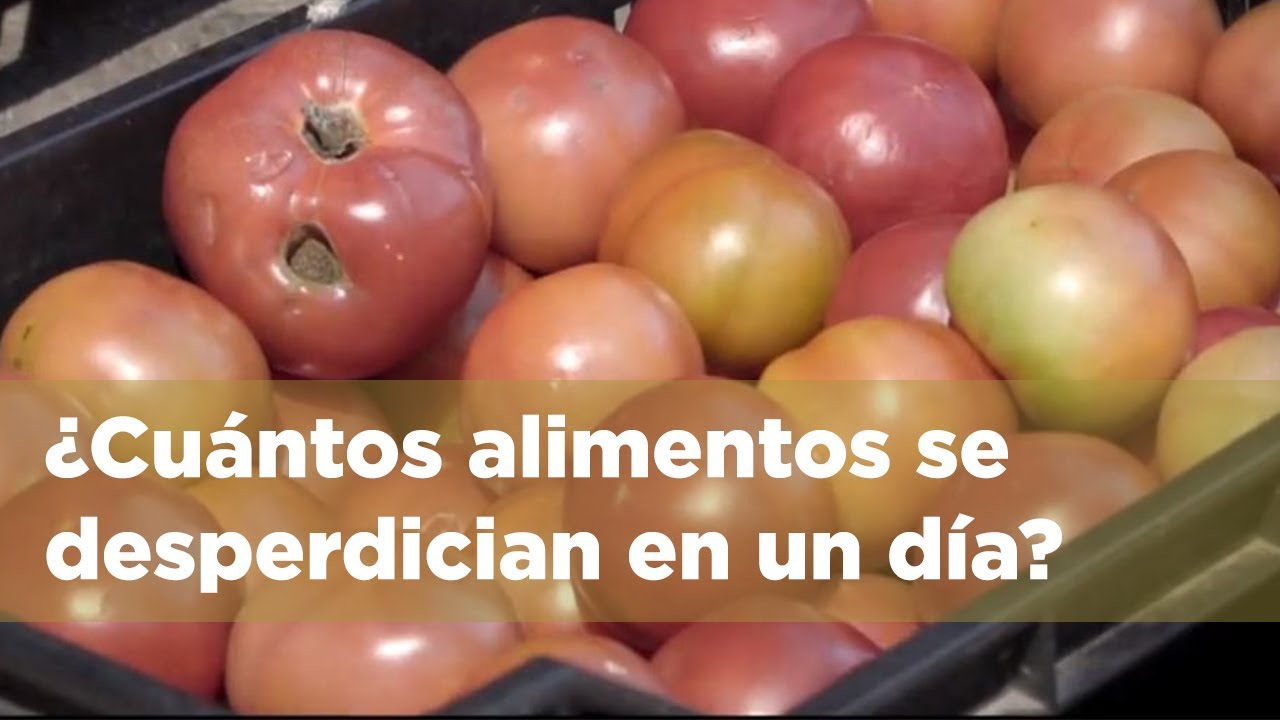 Seguridad alimentaria: la trágica vida de la comida perdida y ...