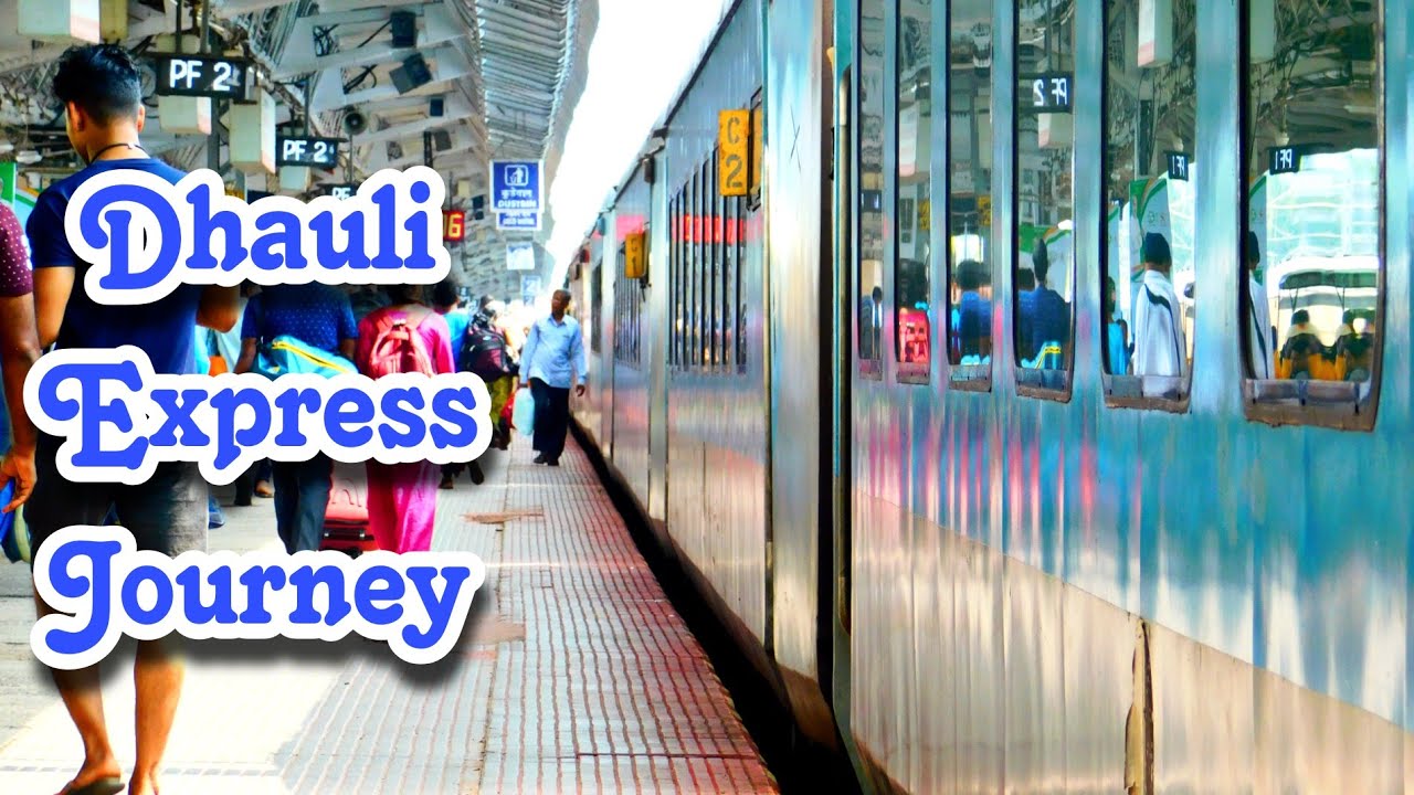 [4K] Dhauli Express Skips and Crossings Compilation - YouTube