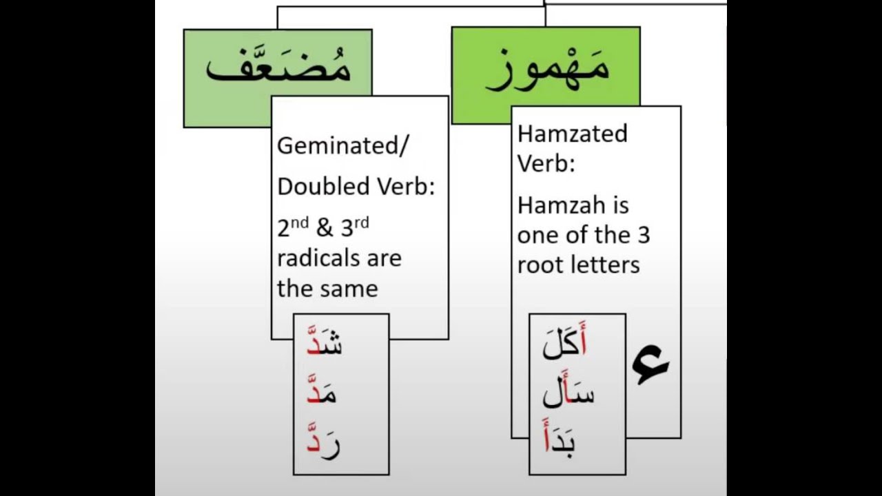 MAJHOOL SAHIH AFAAL (Part 2) Muda,af - YouTube