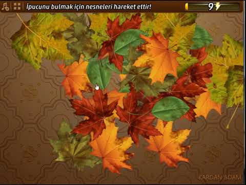 Criminal Case-Mysteries of the Past-Makyavelist Aday-Ivory Hill-Case #49_5