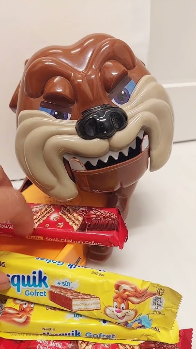 TRENDING ASMR MADDOG WANT CHOCOLATE #asmr #asmrtriggers #satisfying #reaction #interesting - YouTube