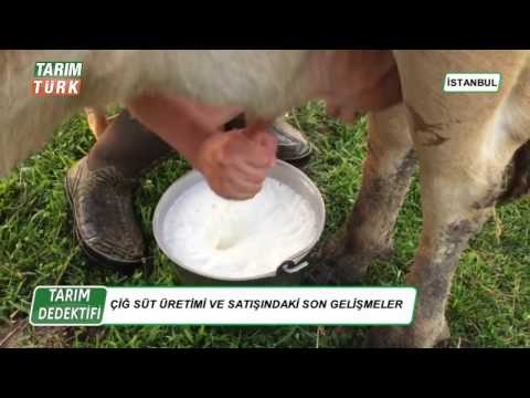 TARIM DEDEKTİFİ-1.BÖLÜM(ÇİĞ SÜT ÜRETİMİ VE SATIŞINDAKİ GELİŞMELER)-TARIM TÜRK TV