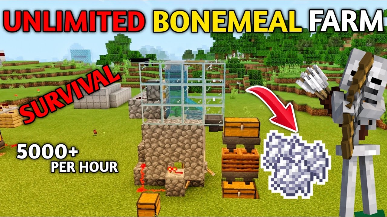 Unlimited Bone Meal Farm In Minecraft 1.16 || Splash Gamerz - YouTube