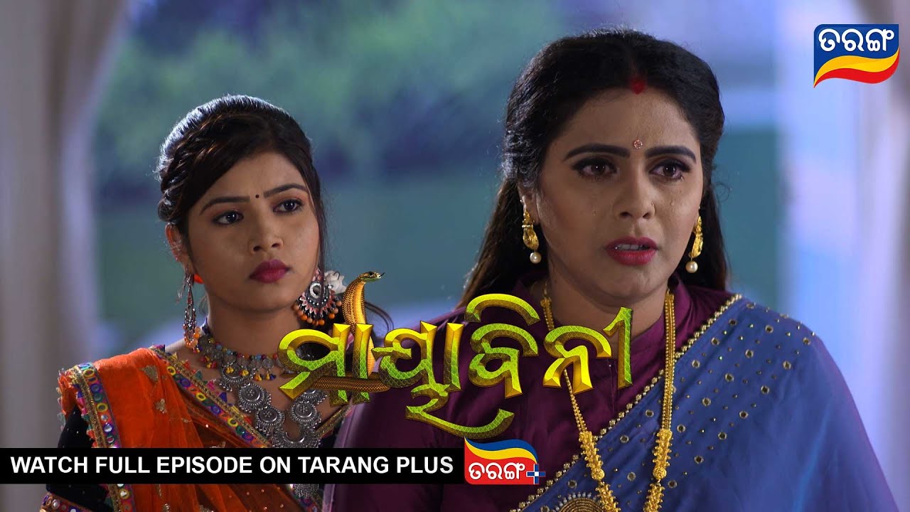 Mayabini | Ep 32 | 22 nd Nov 2022 | Best Scene | Odia Serial–TarangTV ...