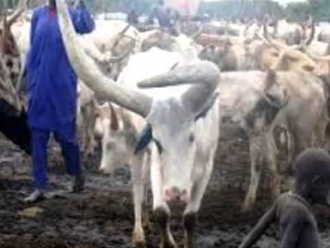 Garang Chol Bul (Garang Mojmuo) Dinka Twic/Tui of Jongulei State, South ...