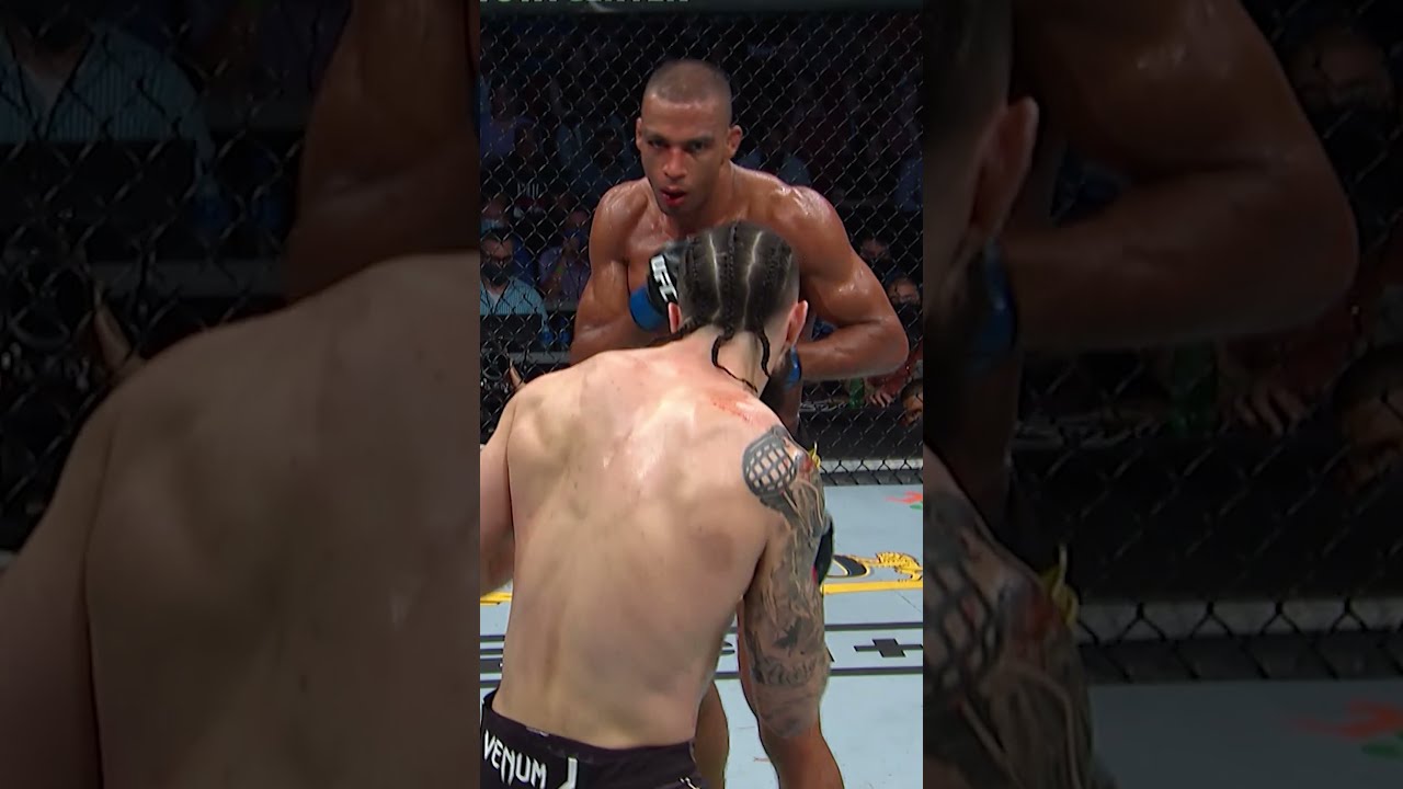 One of the Craziest Knockouts in the UFC This Year - YouTube