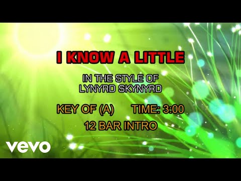 Lynyrd Skynyrd - I Know A Little (Karaoke)