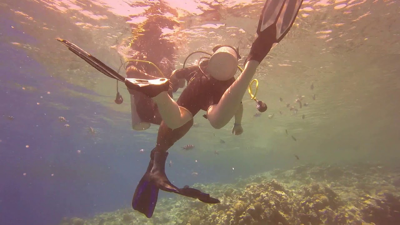 Amy and Zoe Scuba Dive 2018 - YouTube