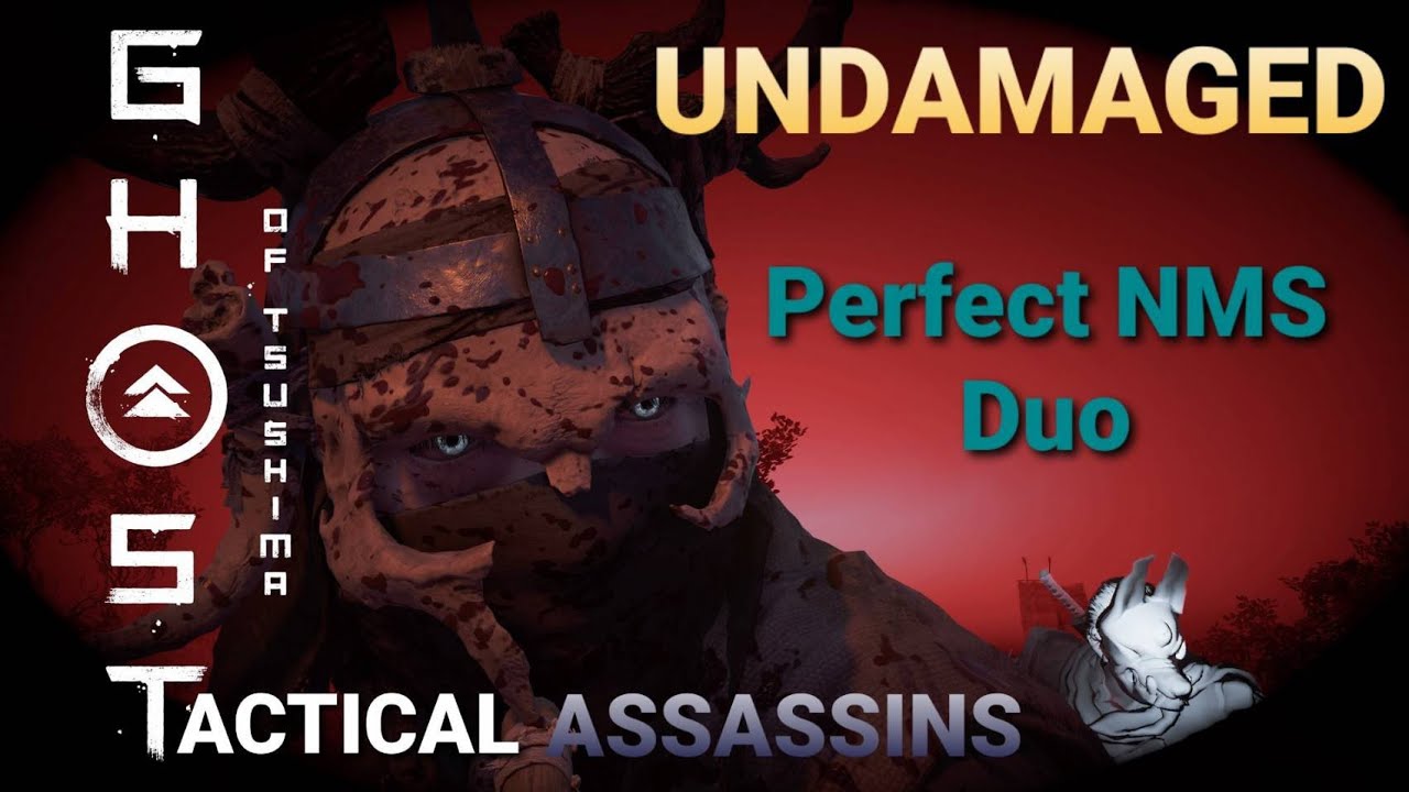 Undamaged Perfect NMS Assassin Duo w/ Pauly_711 |Aoi Village| Ghost of ...
