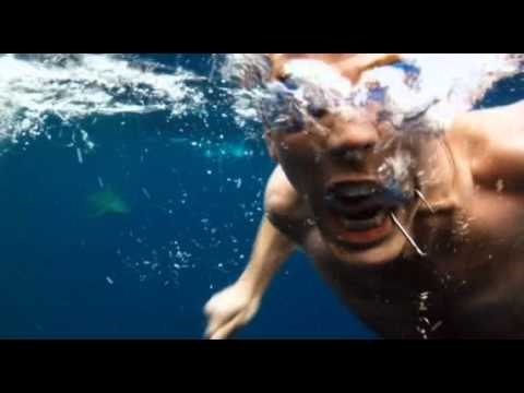 Steve O - The Fish Hook -- REVERSE TORRENT.avi - YouTube