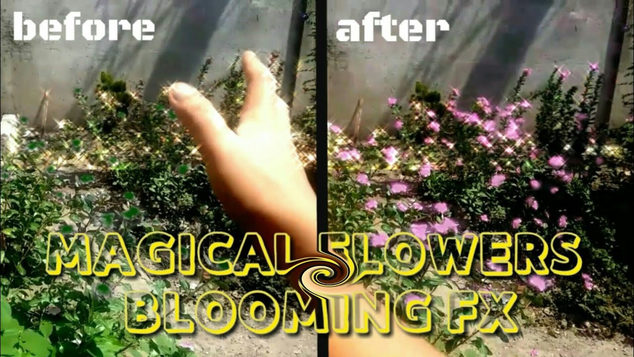 How to change the COLOR of Flowers - Kinemaster Magic Tutorial - YouTube
