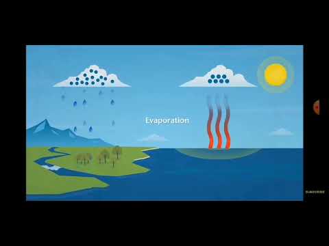 Dituri Natyre 5 Cikli i ujit në natyrë - YouTube