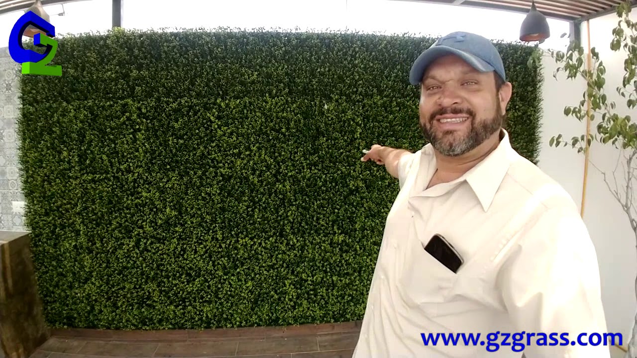 Muro Verde Arrayan Amarillo - YouTube