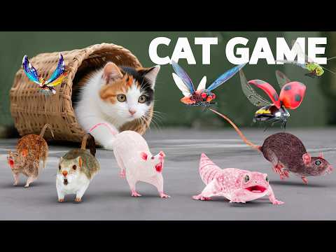 CAT Games - Ultra Realistic 3D CAT TV | Best Videos to Watch for Cats | 9 HOURS 😺 4K60FPS