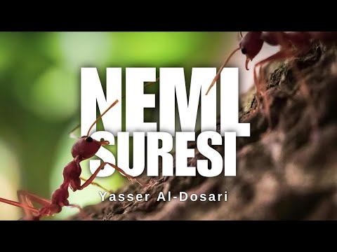 Yasser el-Dosari | Neml Suresi