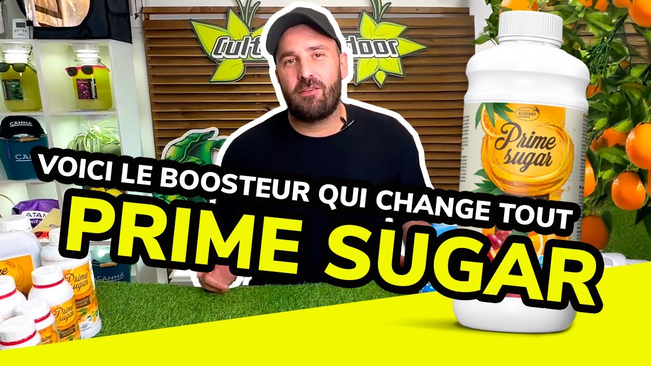 Vos Récoltes NE SERONT PLUS JAMAIS LES MÊMES grâce à Prime Sugar ! 😍 ...