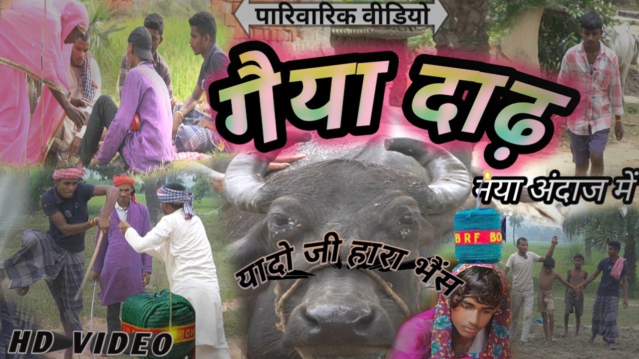 गैया दाढ़ कॉमेडी।😄 Gaiya dadh Comedy 😂@UdaydoctorBodhgaya ...