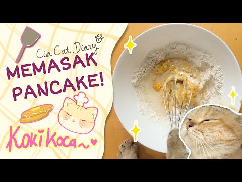 Kucing Memasak Pancake - Koki Koca - Ep 01 - YouTube