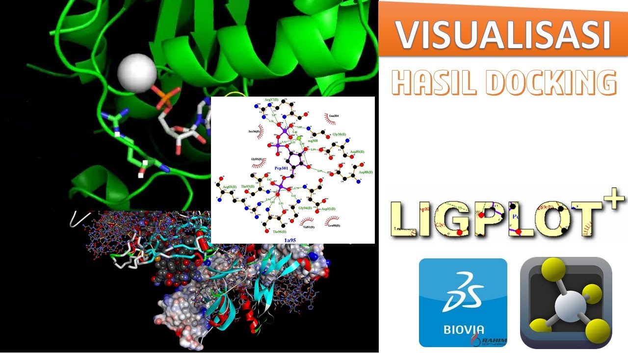 Bioinformatics 15: Tutorial Visualisasi hasil docking menggunakan software pymol, DS dan Ligplot ...