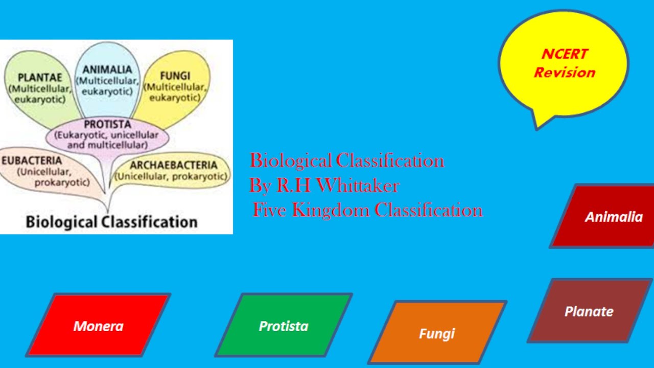 Biological Classification !! Chapter 2!! NCERT BOOK!!FAST revision ...