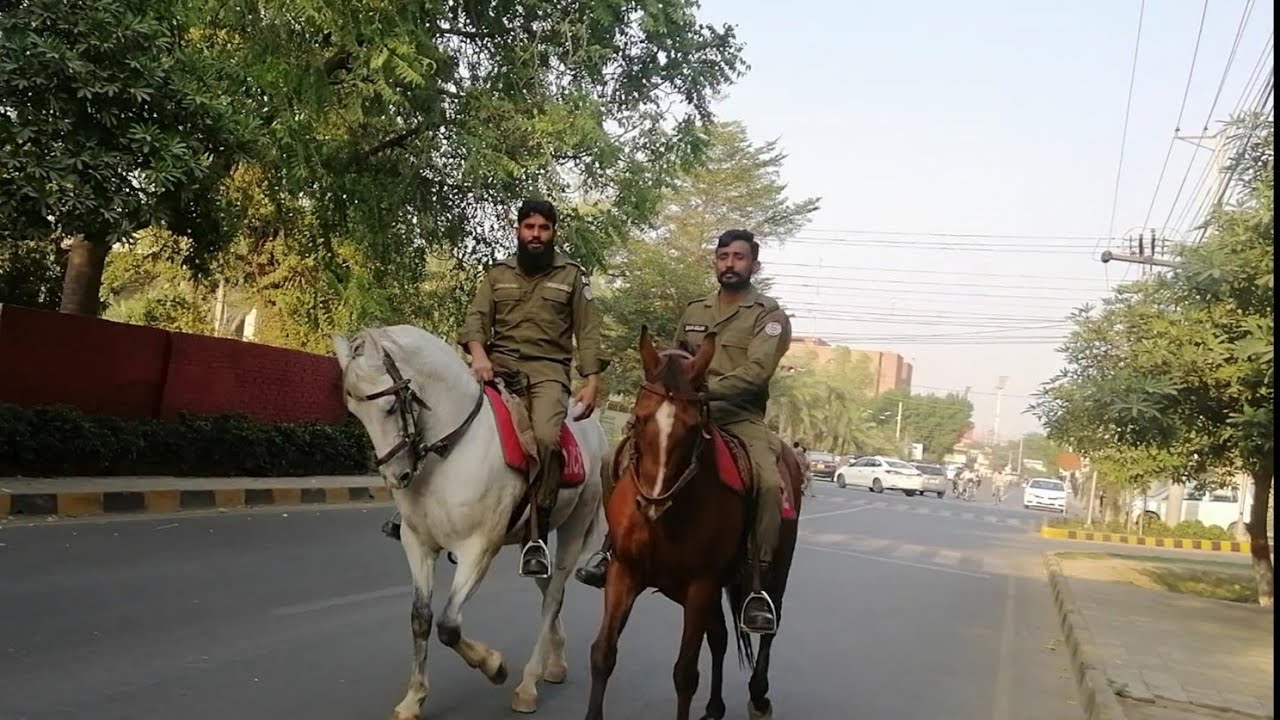 Punjab Police Gora Sawari. || Hourse Ride || Police Man Hourse Riding ...