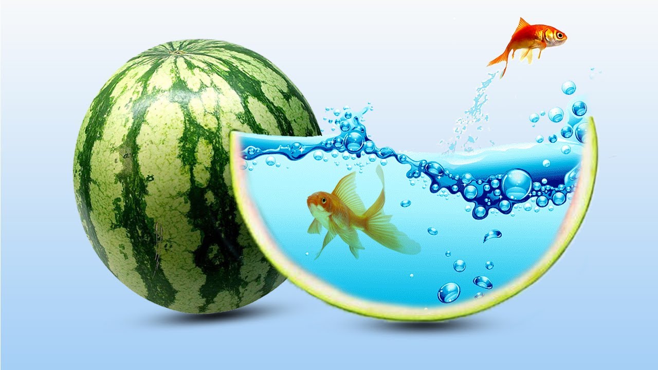 How To Create Watermelon Manipulation Design In Photoshop /Fish ...