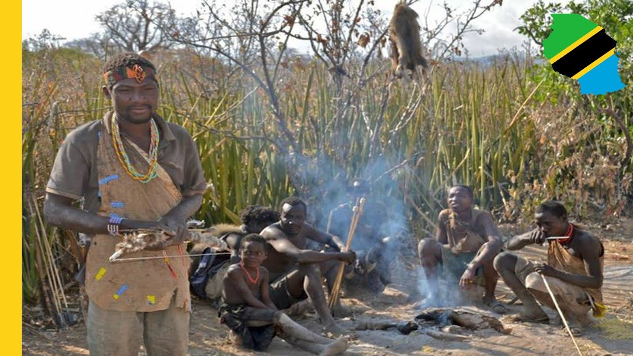 Hadzabe tribe shocks the world as they feed on monkey😲They can eat ...