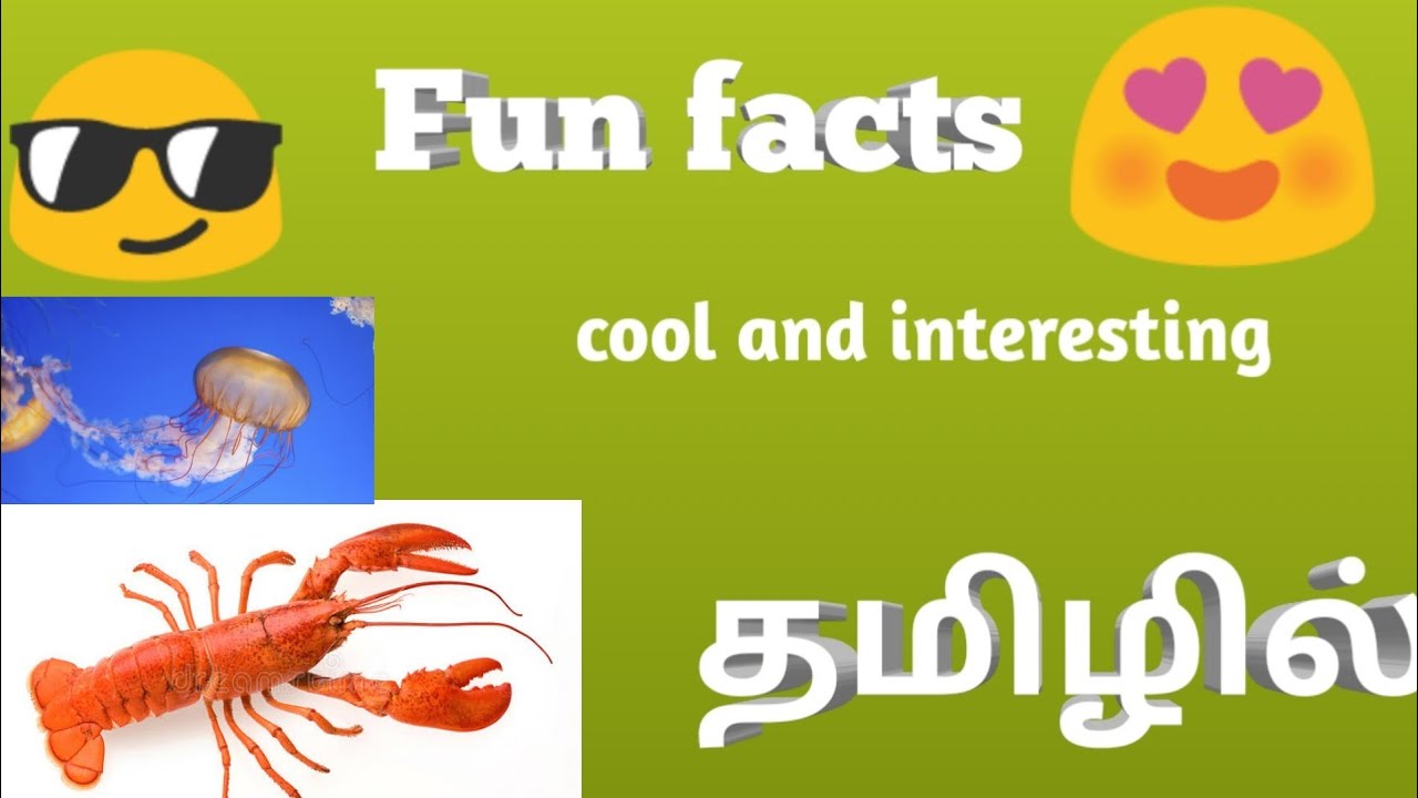 Fun facts in tamil 2020 - YouTube