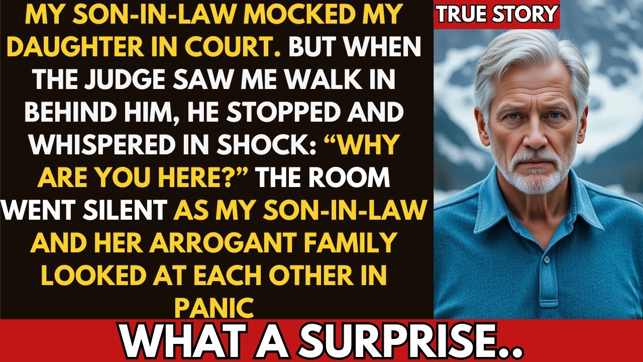 The Judge Stared at Me in Shock: “Why Are You Here?”—My Answer Left the ...