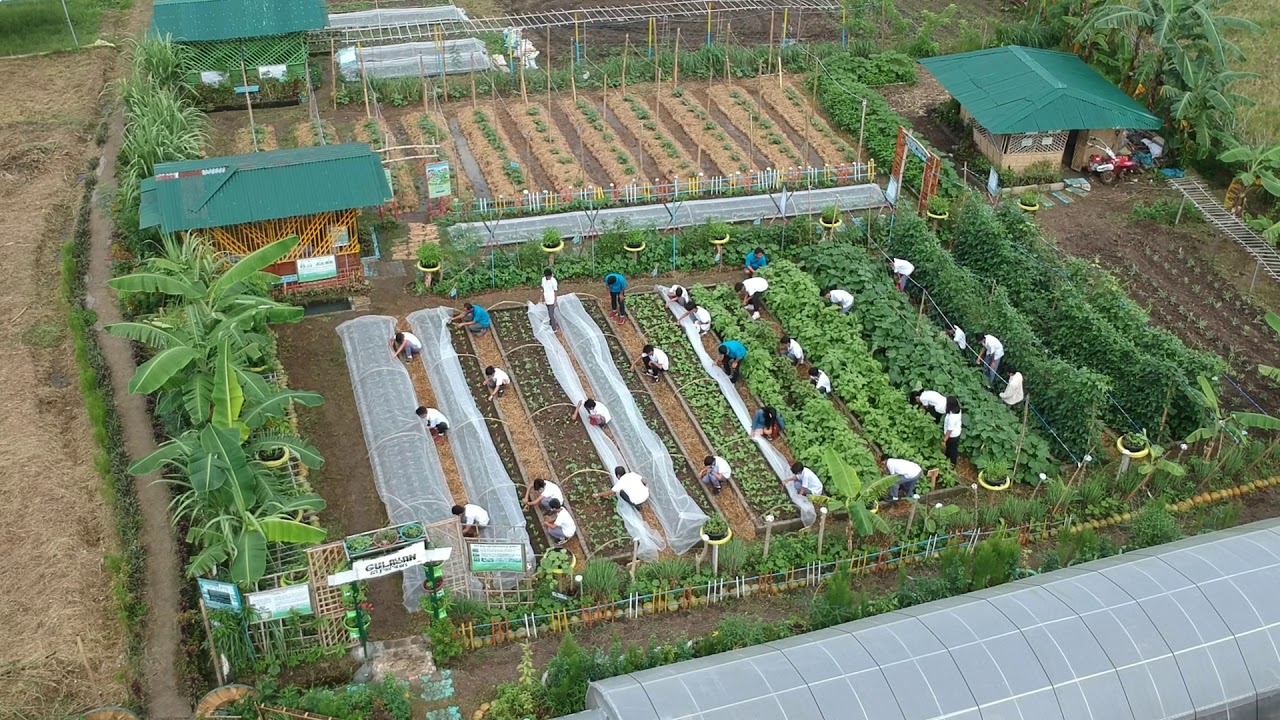 Farm School in Mayao Parada, Lucena City - YouTube