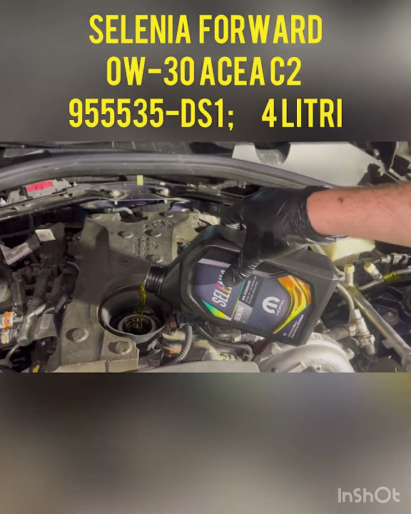 Cambio olio Alfa Giulia 2.2 | 30sec - YouTube