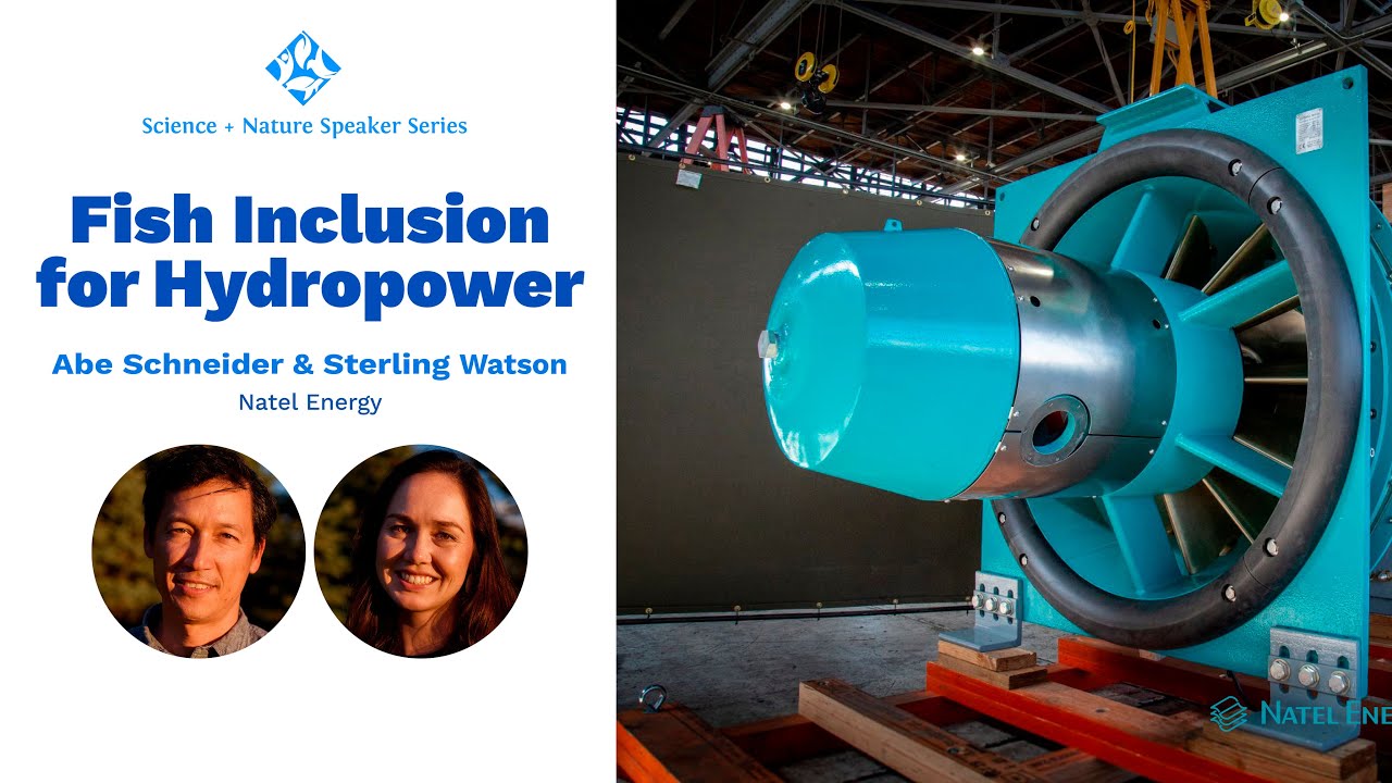Science + Nature UNTapped: Fish Friendly Turbines - YouTube