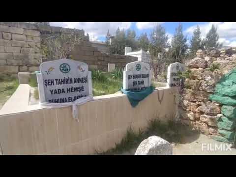 mala Bube Şeyhleri şeyh Mahmud şeyh Arap ziyareti