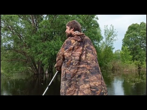 Heaven seen in Dream : Friends, & a Rare Lizard Encounter ,boating in ...