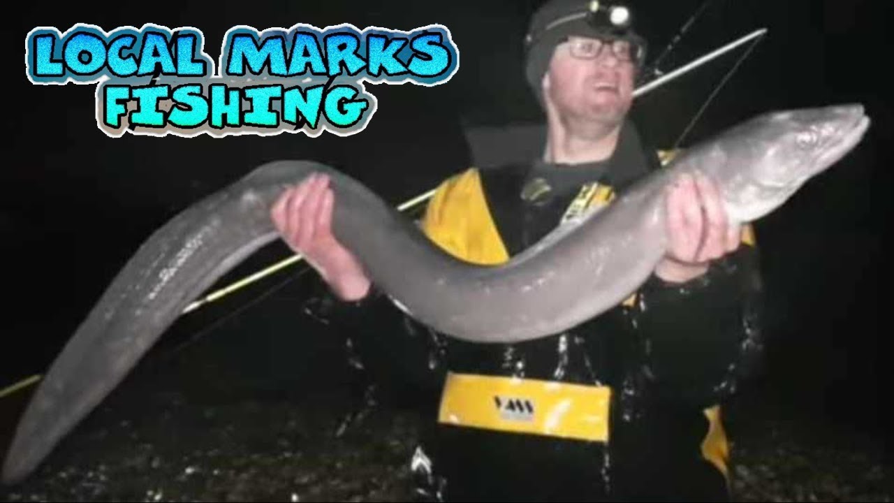 Monster Catch! Hauls in HUGE 21lb Conger Eel From The Beach! - YouTube