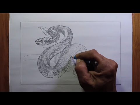 Menggambar Ular (Drawing a Snake) - YouTube