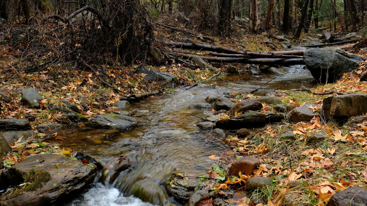 Horton Creek in Fall 2 #nature #fall #creek #waterfall - YouTube